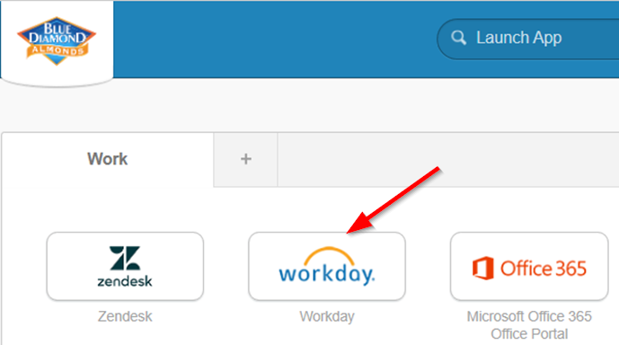 Workday Web Application Login Instructions – BDG-IT