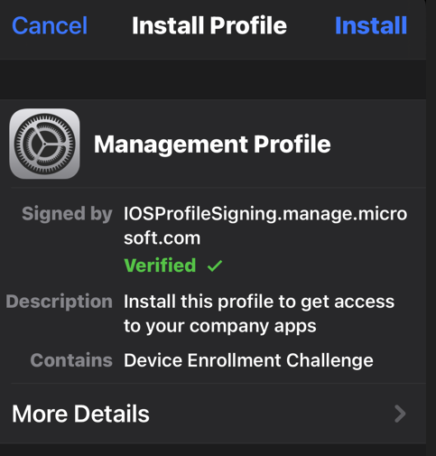 Microsoft Intune Company Portal Installation App Instructions – BDG-IT